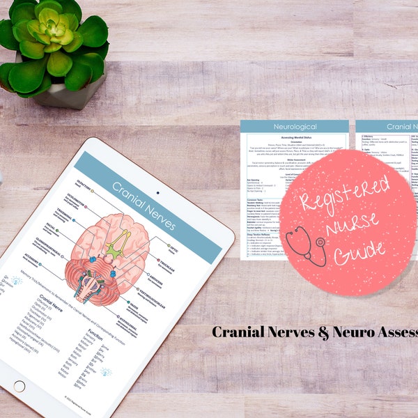 Cranial Nerves - Etsy
