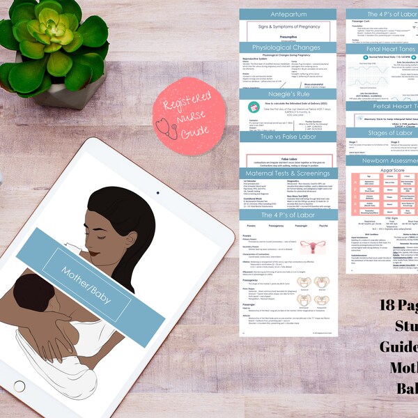 Maternity Study Guide - Etsy
