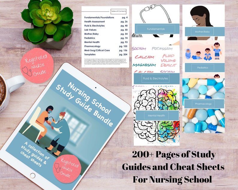 Nursing School Study Guide Bundle 2024 Complete Set of Nursing Notes - Etsy