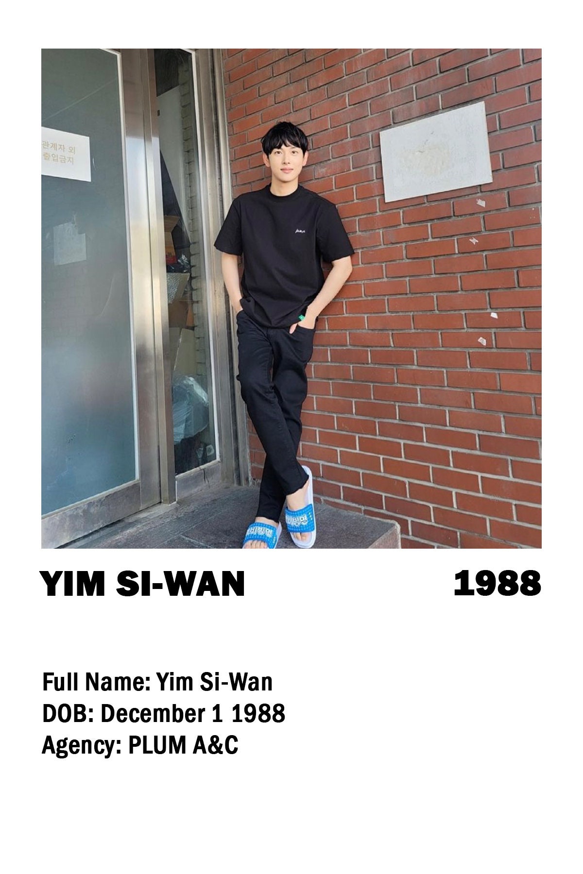 Yim Si-wan Aesthetic 6x4" Minimalist-style Poster Print - Etsy