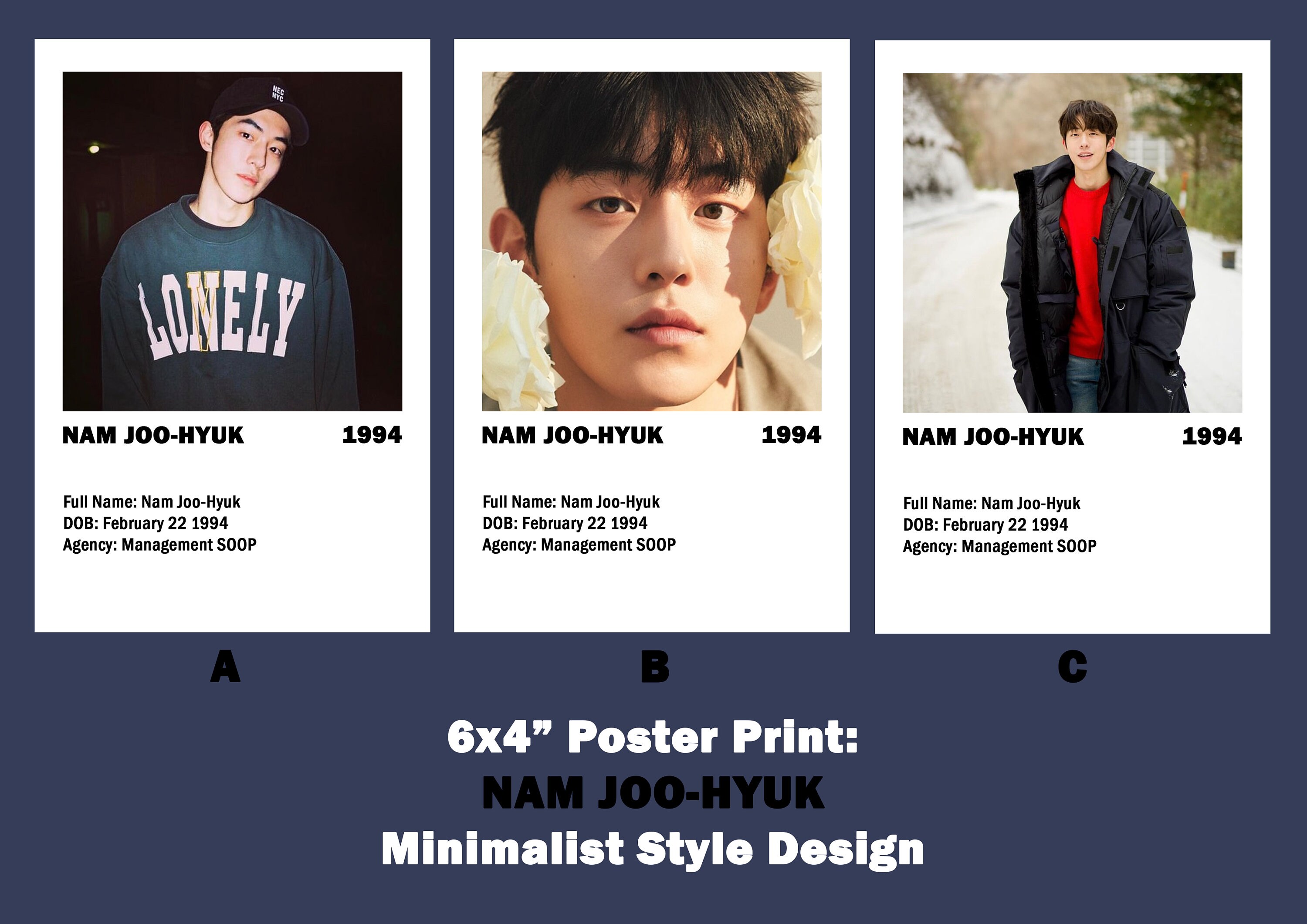 Nam Joo-hyuk Aesthetic 6x4 Minimalist-style Poster Print - Etsy