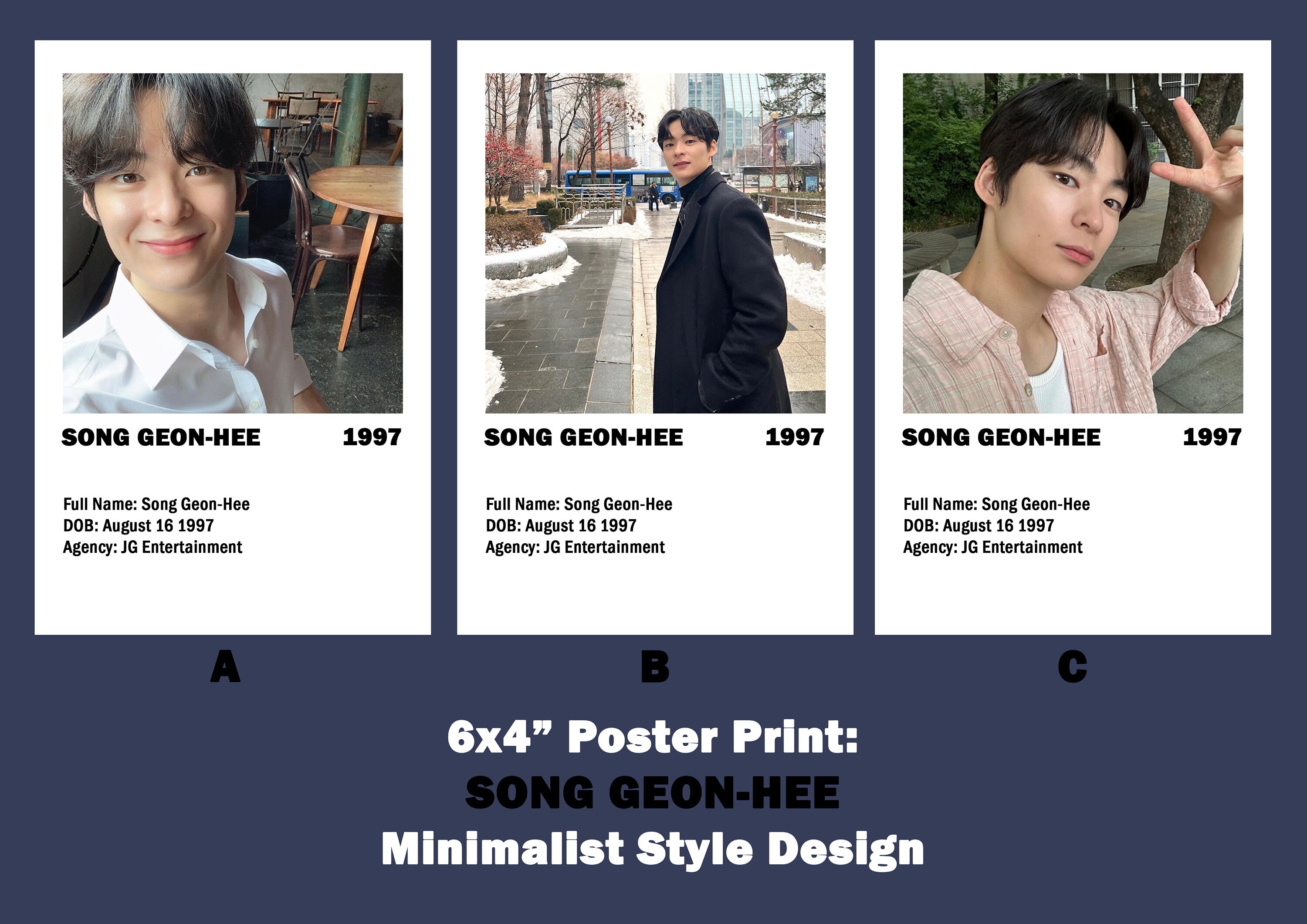 Song Geon-hee Aesthetic 6x4" Minimalist-style Poster Print - Etsy
