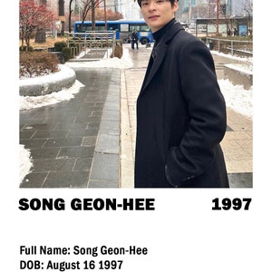 Song Geon-hee Aesthetic 6x4" Minimalist-style Poster Print - Etsy