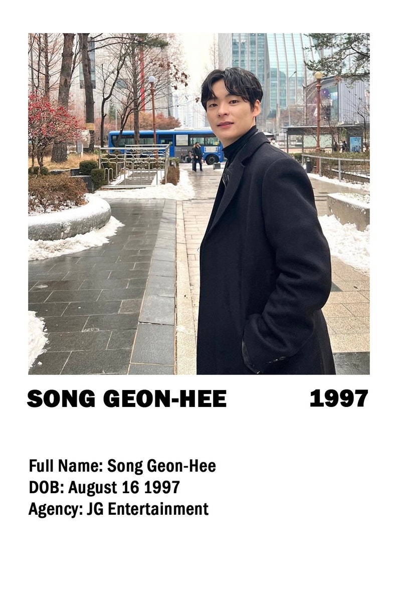 Song Geon-hee Aesthetic 6x4 Minimalist-style Poster Print - Etsy