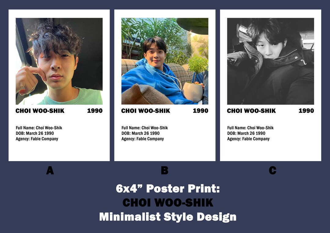 Choi Woo-shik Aesthetic 6x4" Minimalist-style Poster Print - Etsy