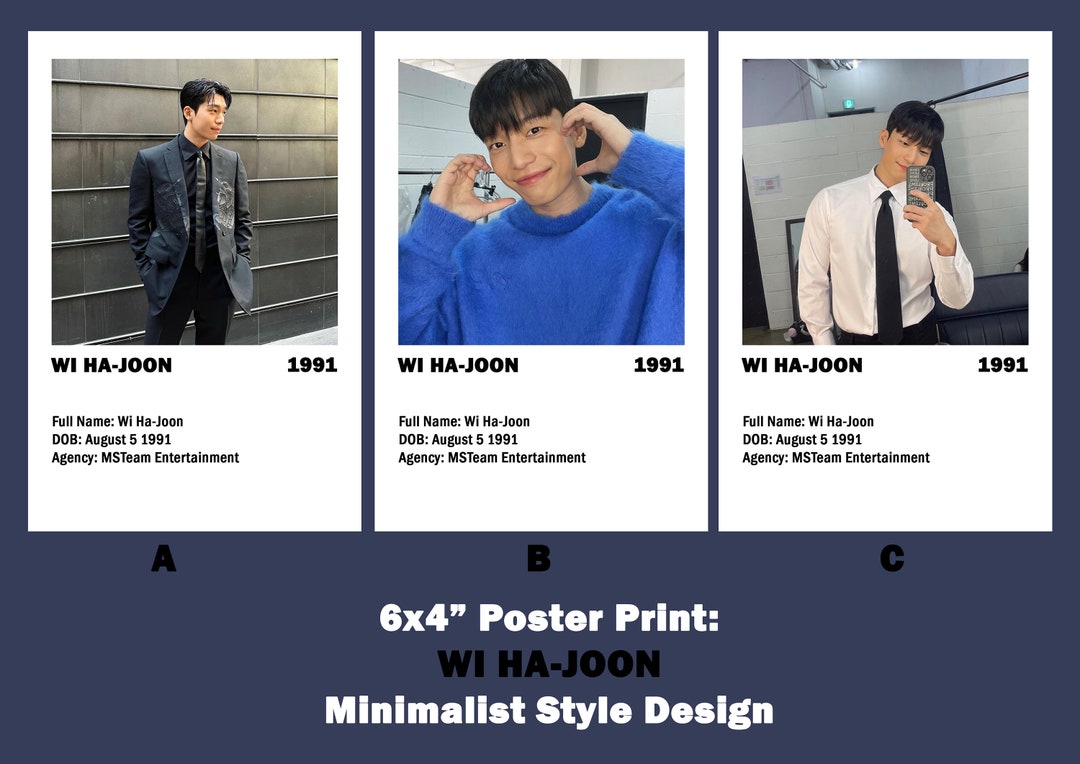 Wi Ha-joon Aesthetic 6x4" Minimalist-style Poster Print - Etsy