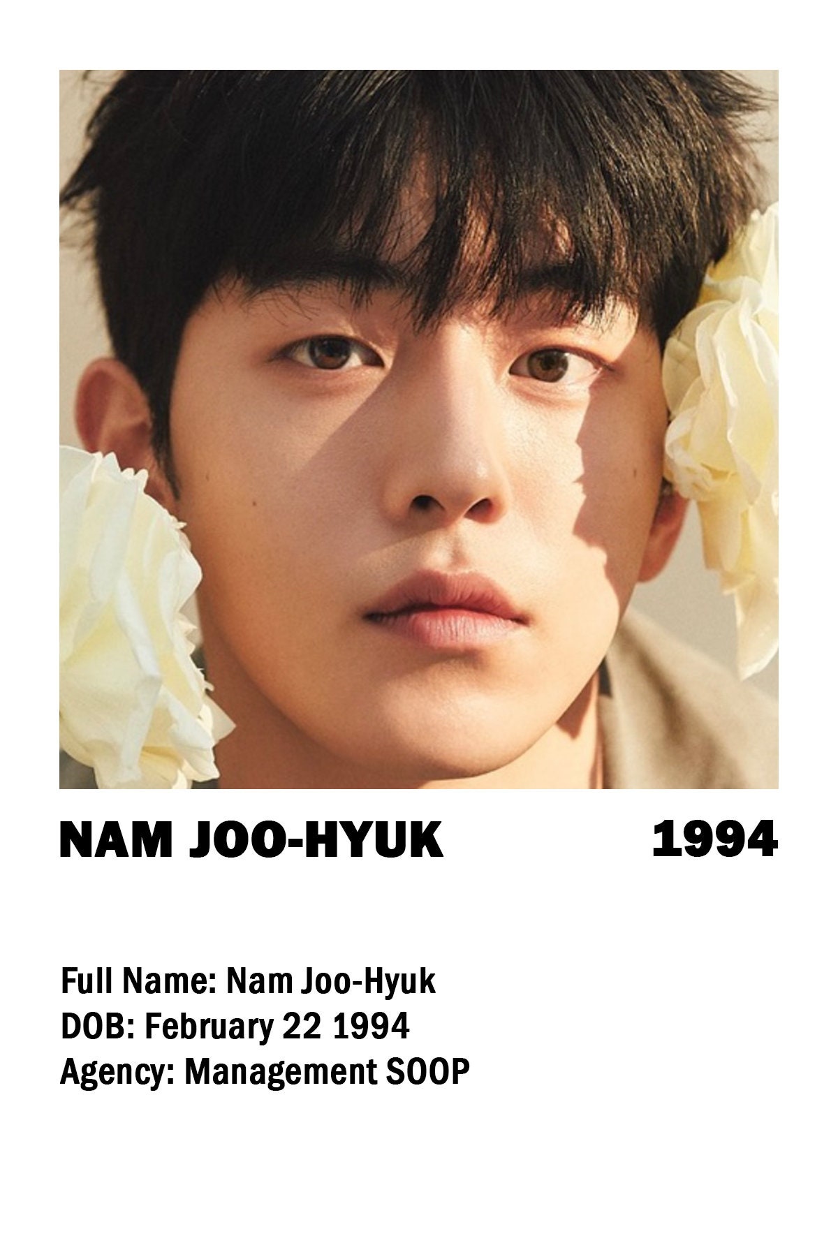 Nam Joo-hyuk Aesthetic 6x4 Minimalist-style Poster Print - Etsy