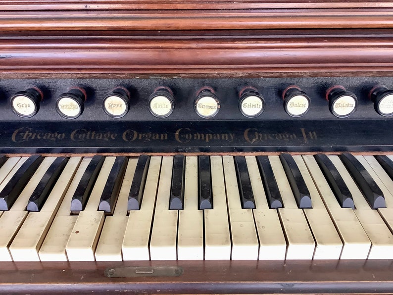 1890-1900 Antique Pump Organ by Chicago Cottage Organ Co. Beautiful ...