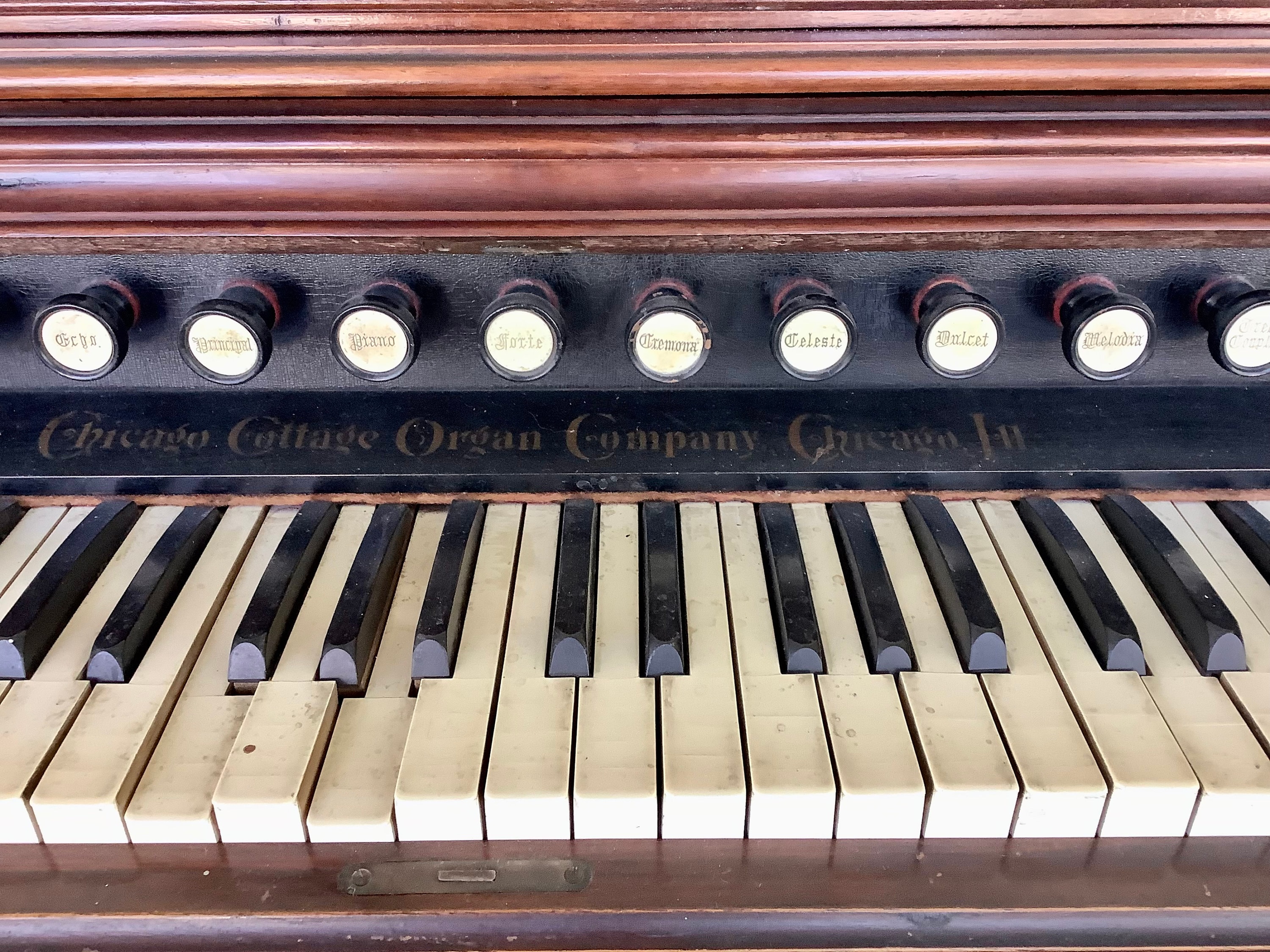 1890-1900 Antique Pump Organ by Chicago Cottage Organ Co. Beautiful ...