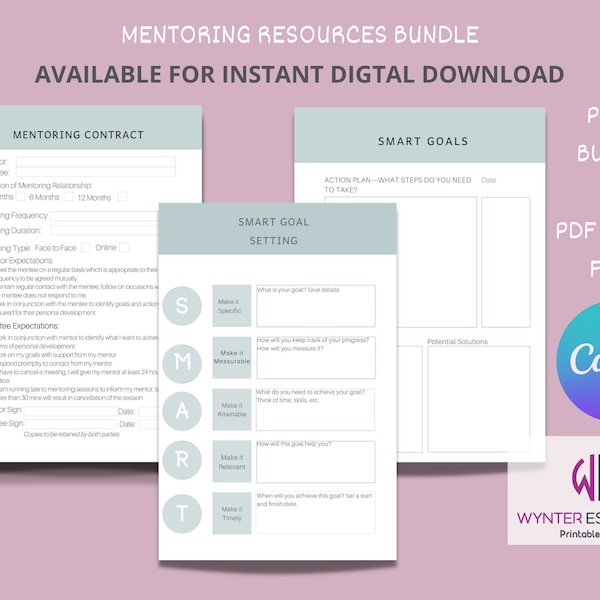 Mentoring Worksheets - Etsy