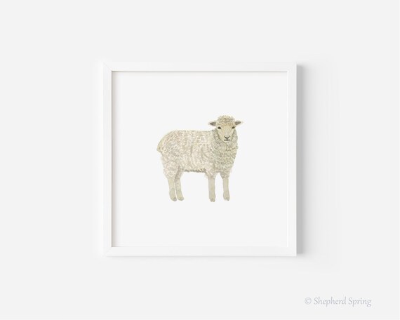 Sheep Watercolor Print Watercolor Lamb Painting Watercolor | Etsy