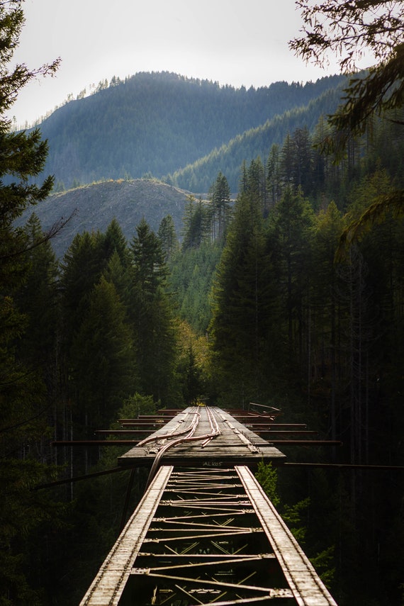 Mr. Vance Creek Vance Creek Bridge Olympic National Park - Etsy