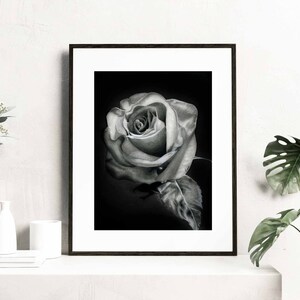 Graphite Rose Print - Etsy