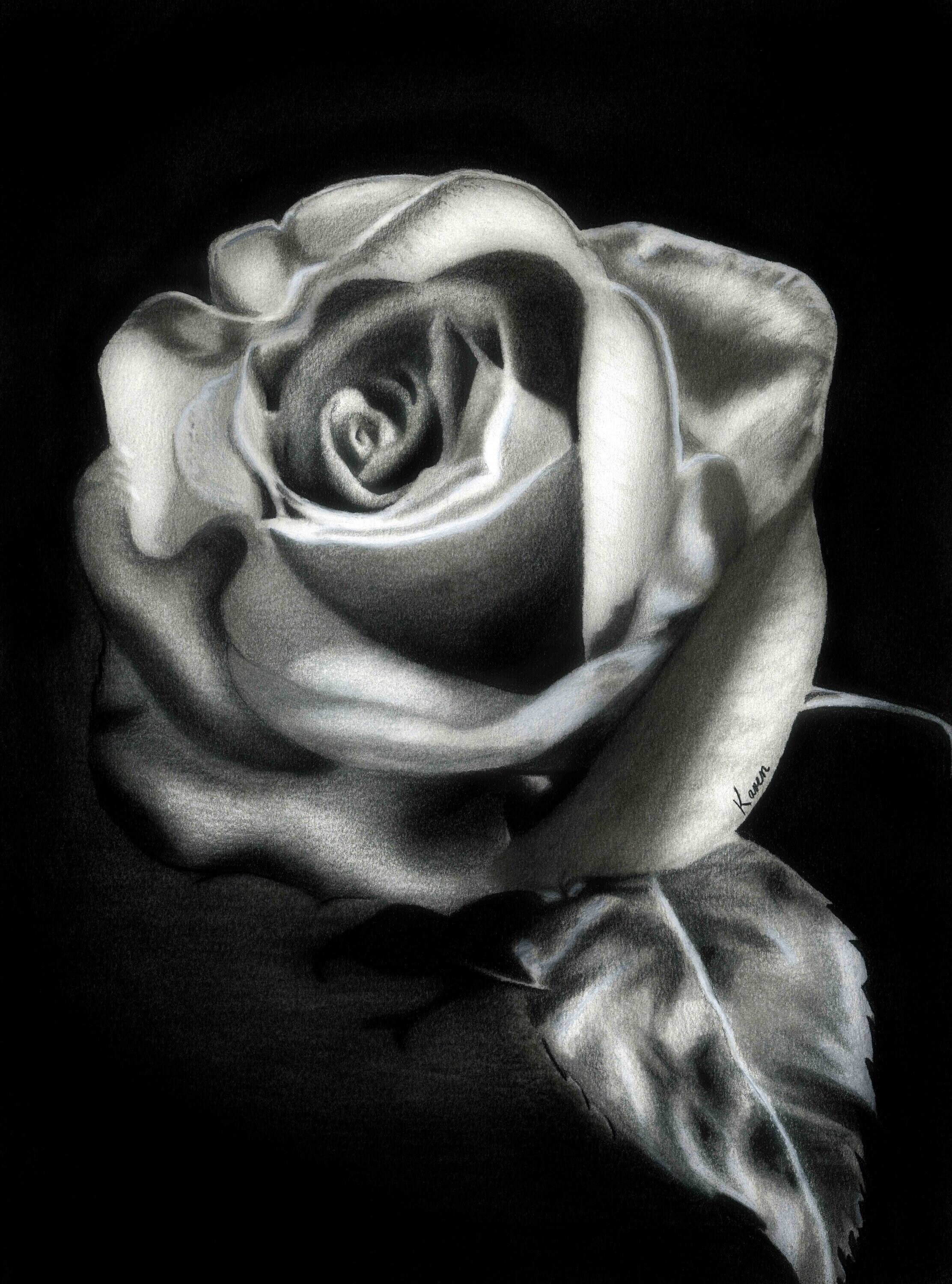 Graphite Rose Print - Etsy