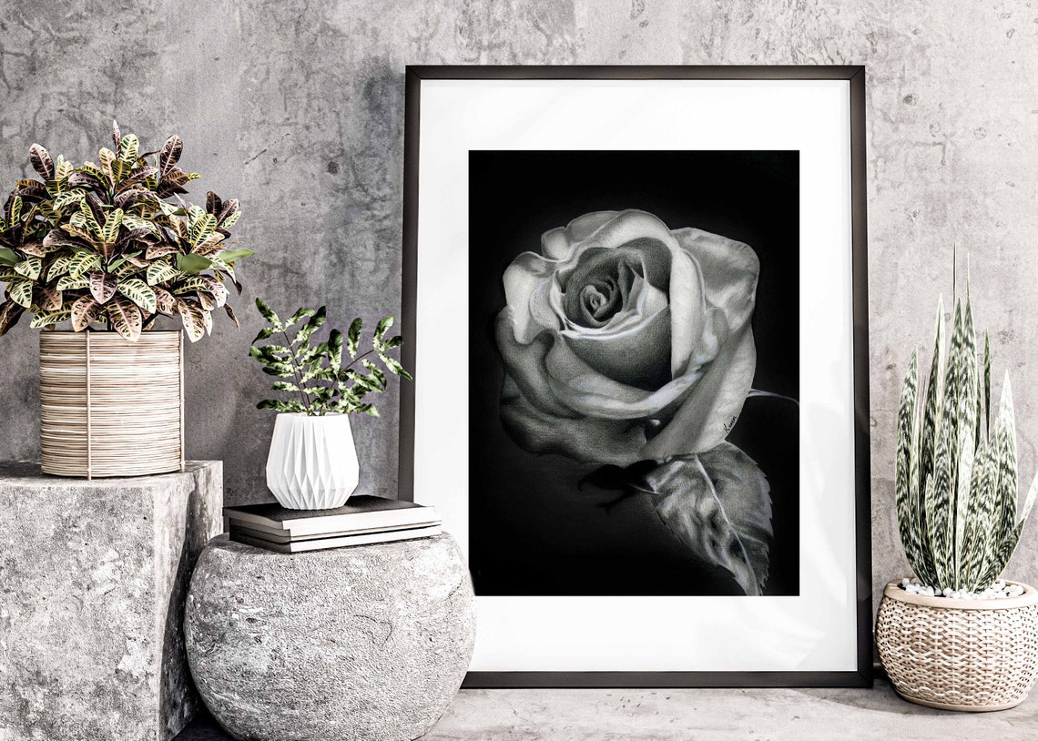 Graphite Rose Print - Etsy