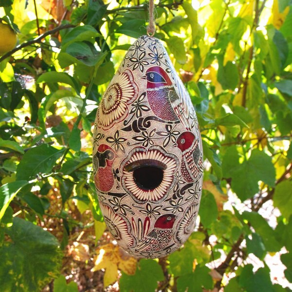 Gourd Bird House - Etsy