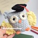 Graduation Crochet Pattern, Owl Car Hanging Crochet Pattern With ...