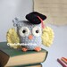 Graduation Crochet Pattern, Owl Car Hanging Crochet Pattern With ...