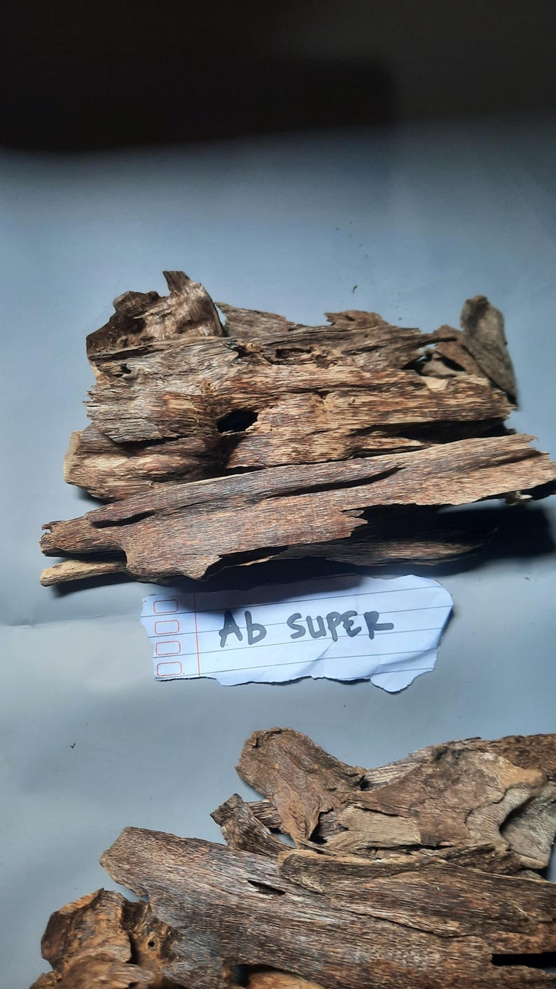 4 Grades Authentic Natural Oud Wood Kalimantan - Etsy