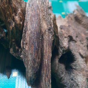 4 Grades Authentic Natural Oud Wood Kalimantan - Etsy