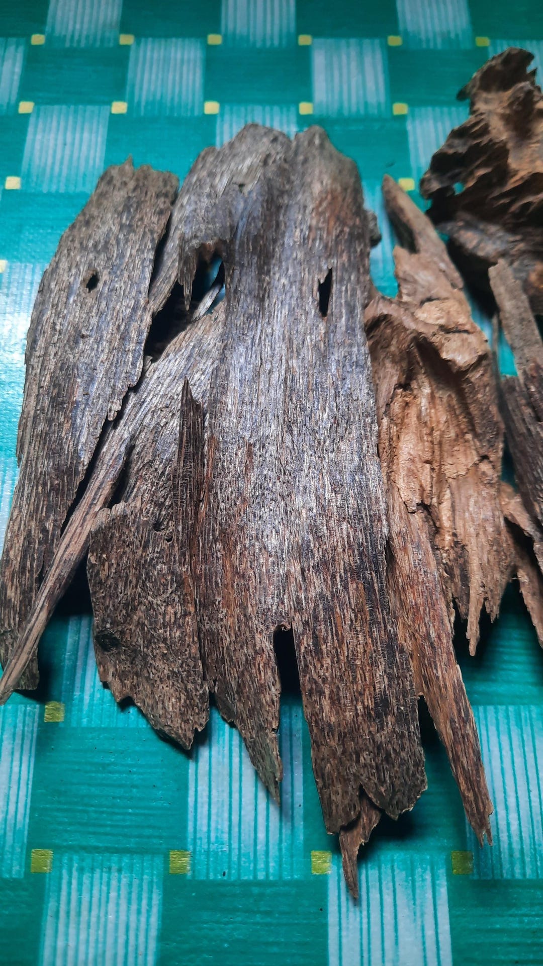 4 Grades Authentic Natural Oud Wood Kalimantan - Etsy
