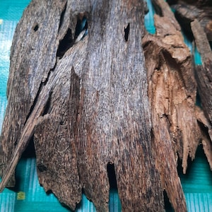 4 Grades Authentic Natural Oud Wood Kalimantan - Etsy