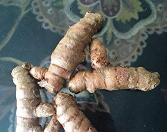 Live Organic Peruvian Ginger Rhizomes for Planting. Bulbs Will - Etsy