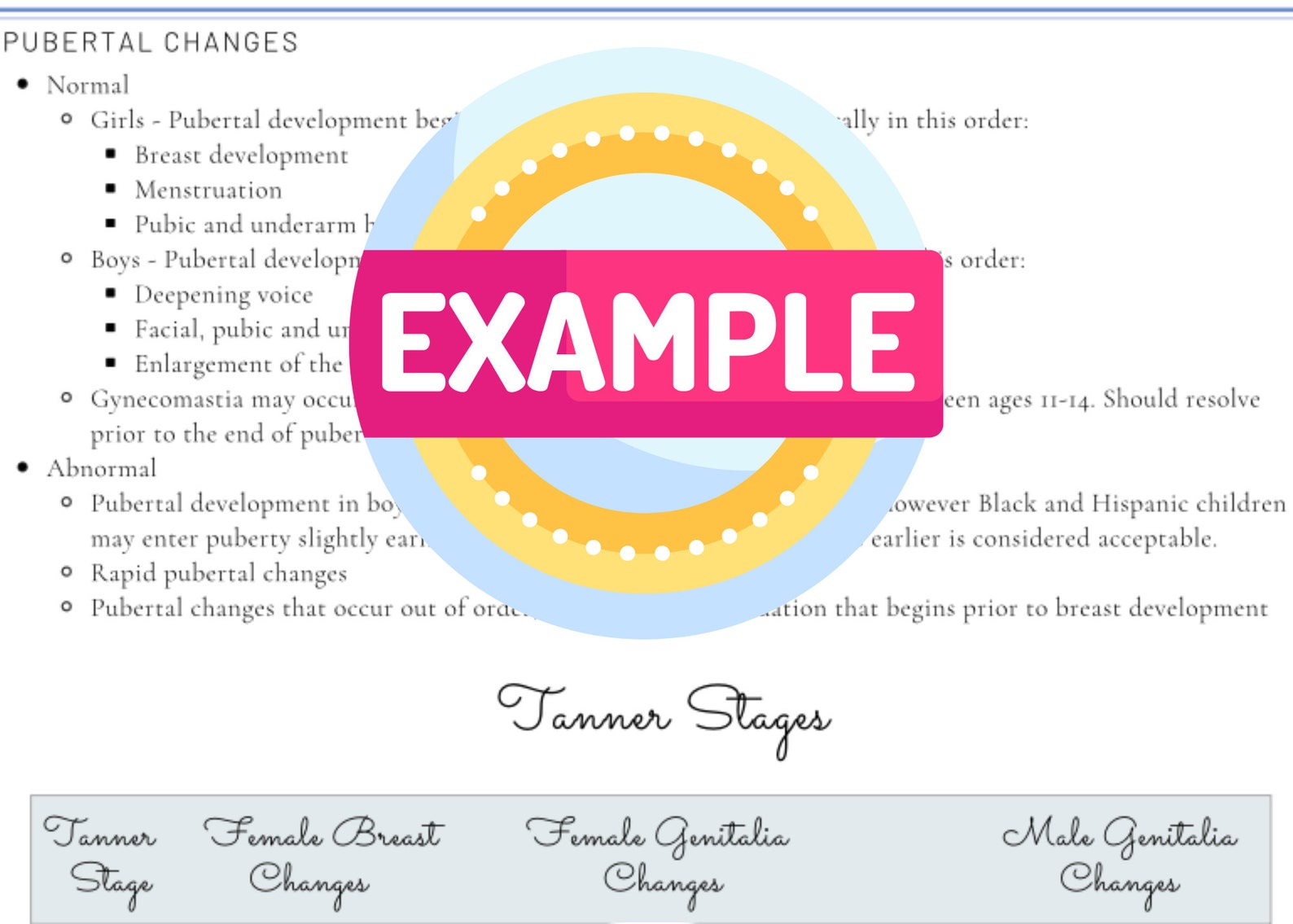 BUNDLE- All Items in My Shop! Pediatric Primary Care Cheat Sheets ...