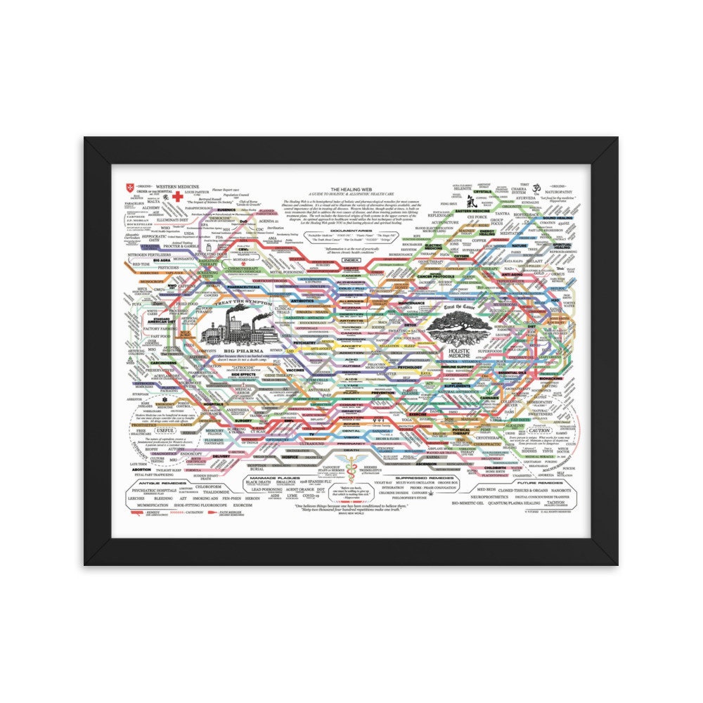 HEALING WEB Framed Print Holistic Healing Functional Medicine Framed ...
