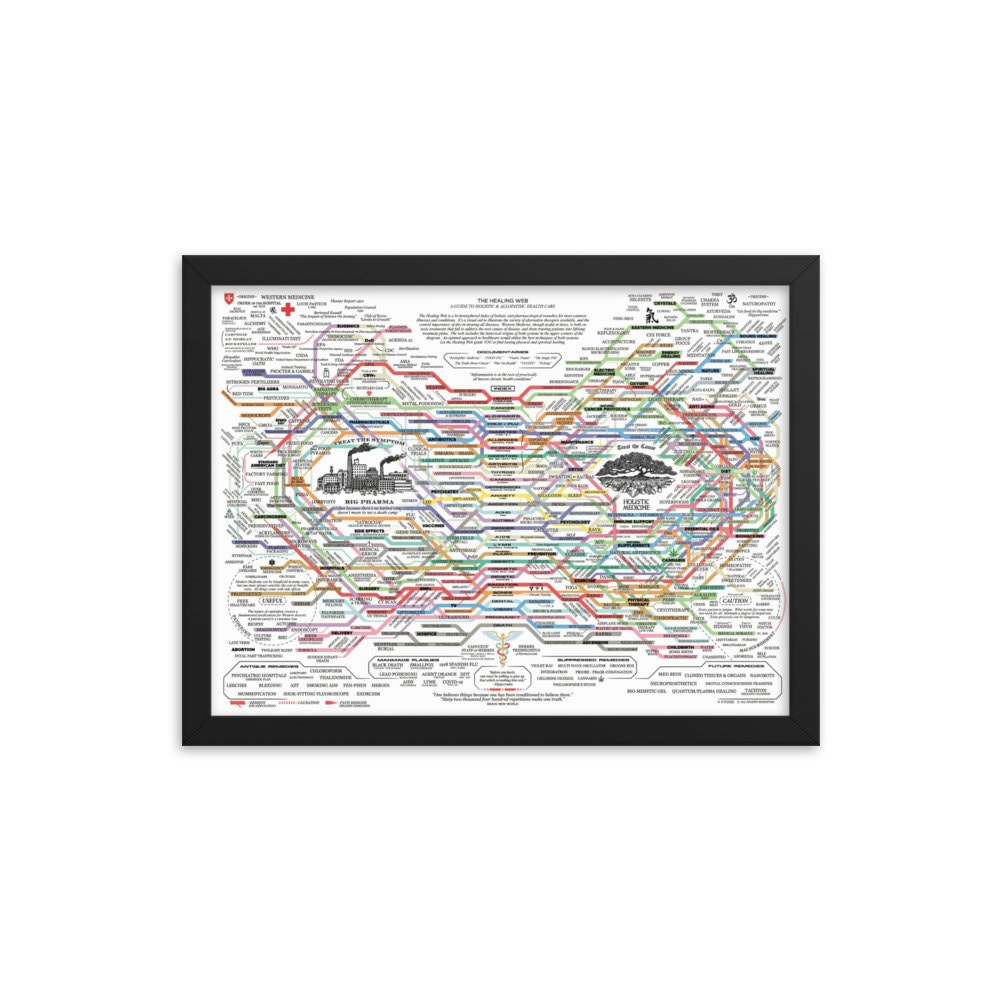 HEALING WEB Framed Print Holistic Healing Functional Medicine Framed ...