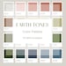MUTED EARTH TONES Color Palette | 20 Colors Palette | Procreate Color ...