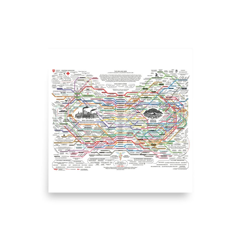 THE HEALING WEB Poster Holistic Healing Functional Medicine Allopathic ...