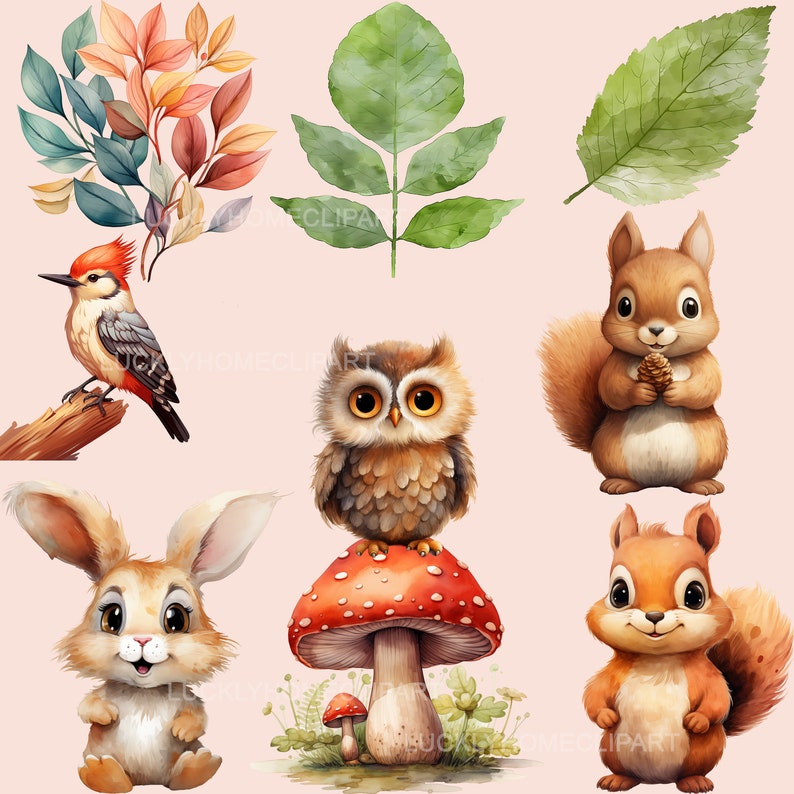 Enchanting Woodland Animals Clipart: Watercolor Forest Friends PNG for ...
