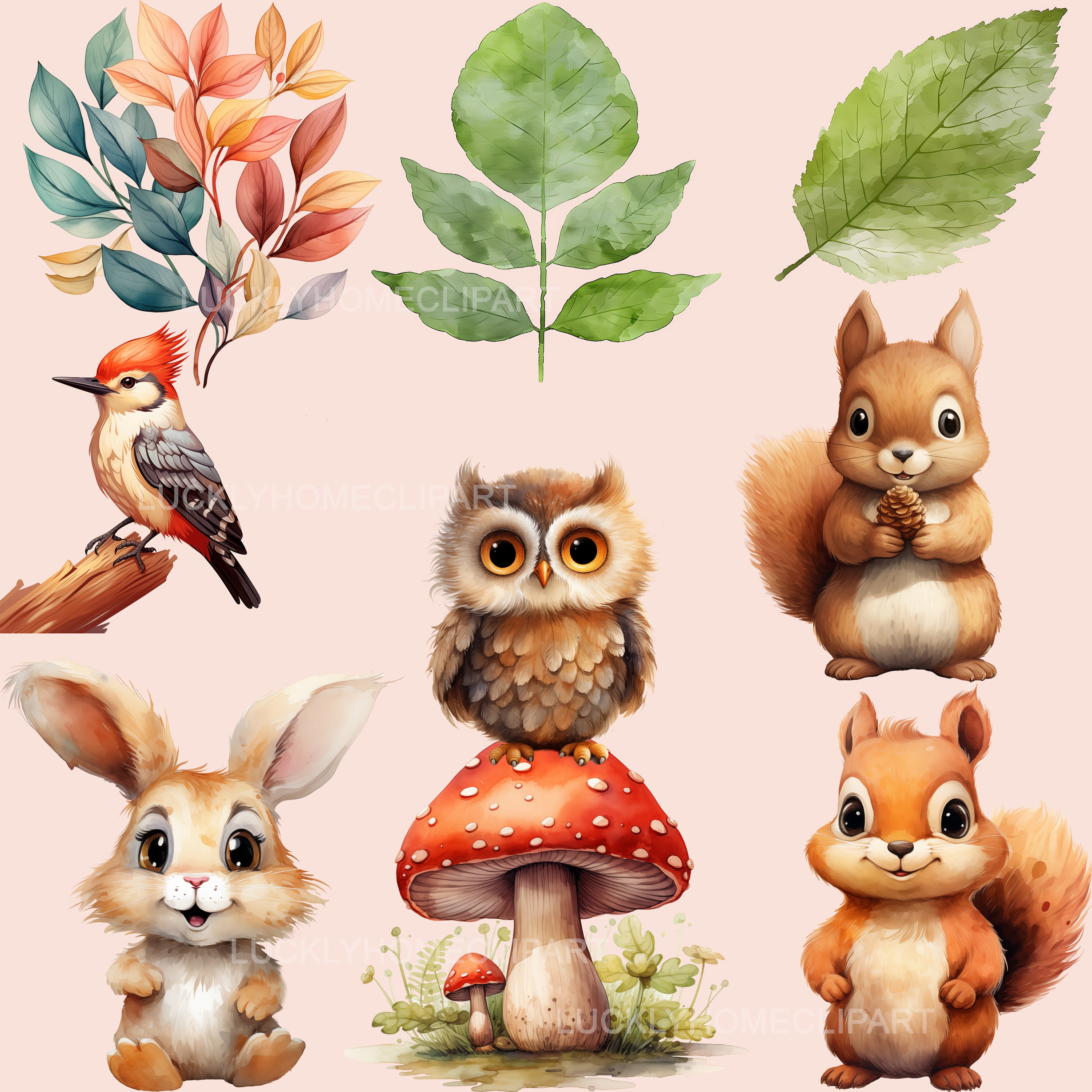 Enchanting Woodland Animals Clipart: Watercolor Forest Friends PNG for ...