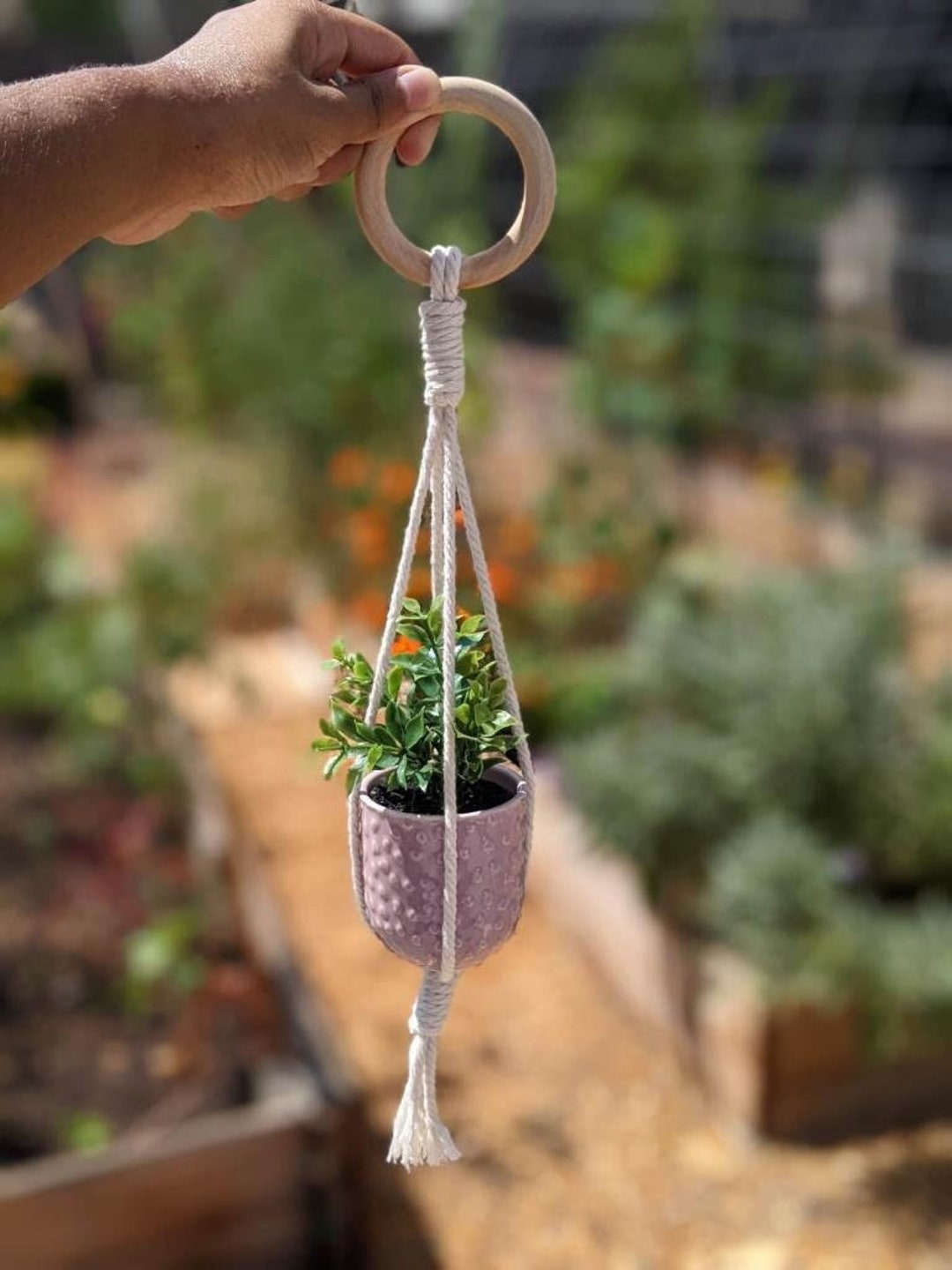 Mini Macrame Plant Hanger WITH OR WITHOUT Wood Ring/small Macrame ...