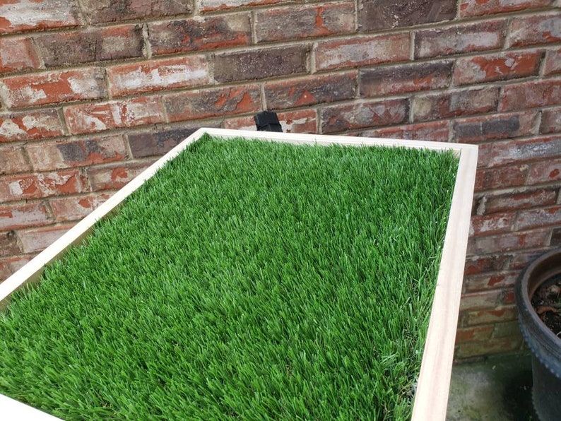 Sensory Room Activity Board feel Soft Turf Grass - Etsy