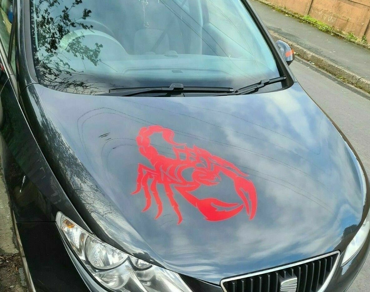 Scorpion Decal Scorpion Decor Vinyl Car Bonnet Side Sticker - Etsy
