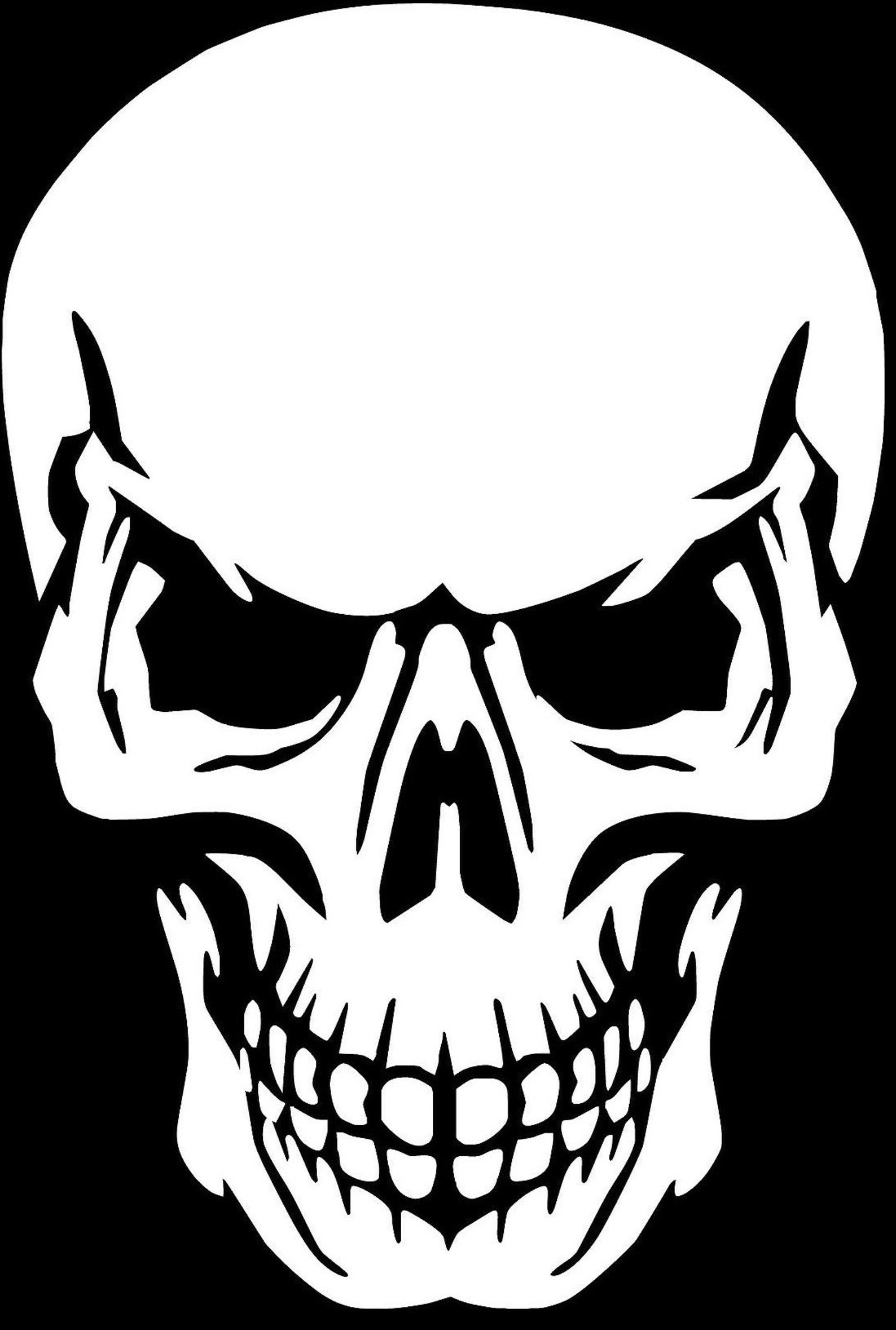 Large Skull Camper Van Car Bonnet Side Sticker Decal Graphic Wall Art ...