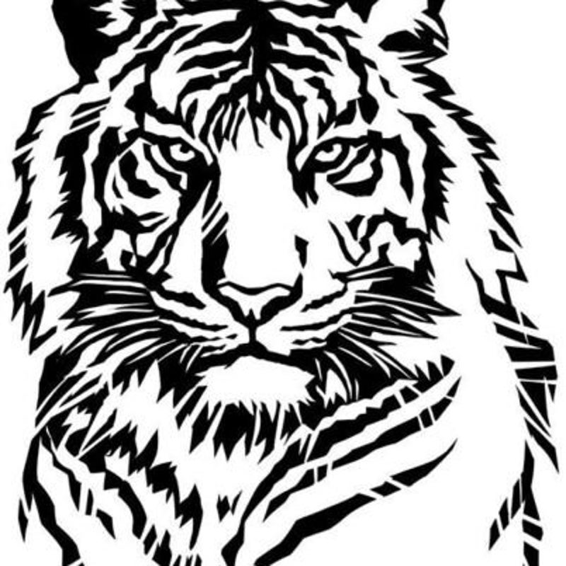 Car Body Decal Sticker - Etsy UK