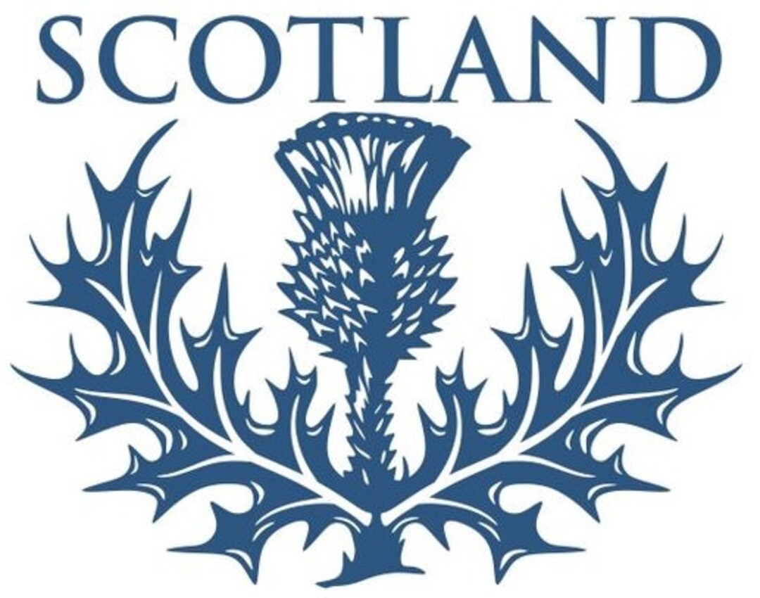 Scotland Thistle Decal Car Sticker Vinyl Wall Art Bonnet Side Sticker ...