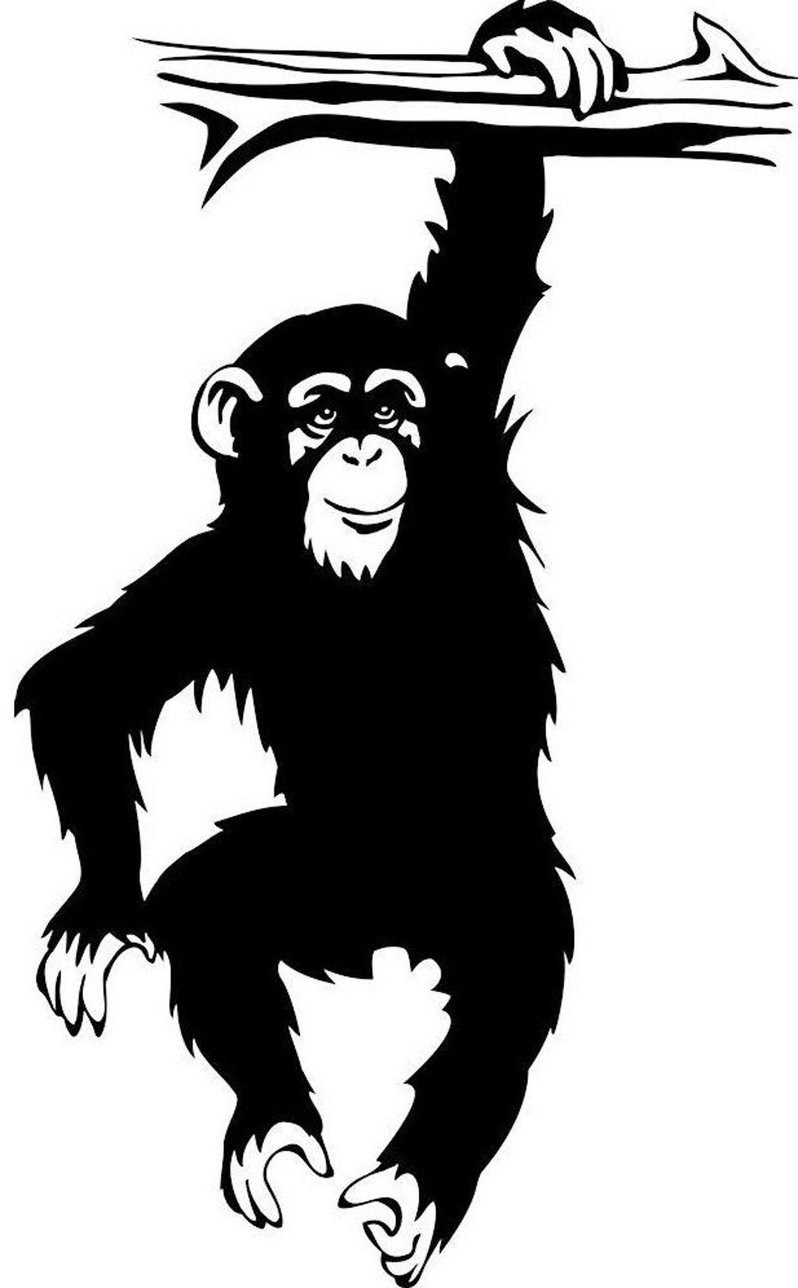 Cheeky Monkey Decal Wall Art Car Bonnet Side Sticker Decal Camper Van ...