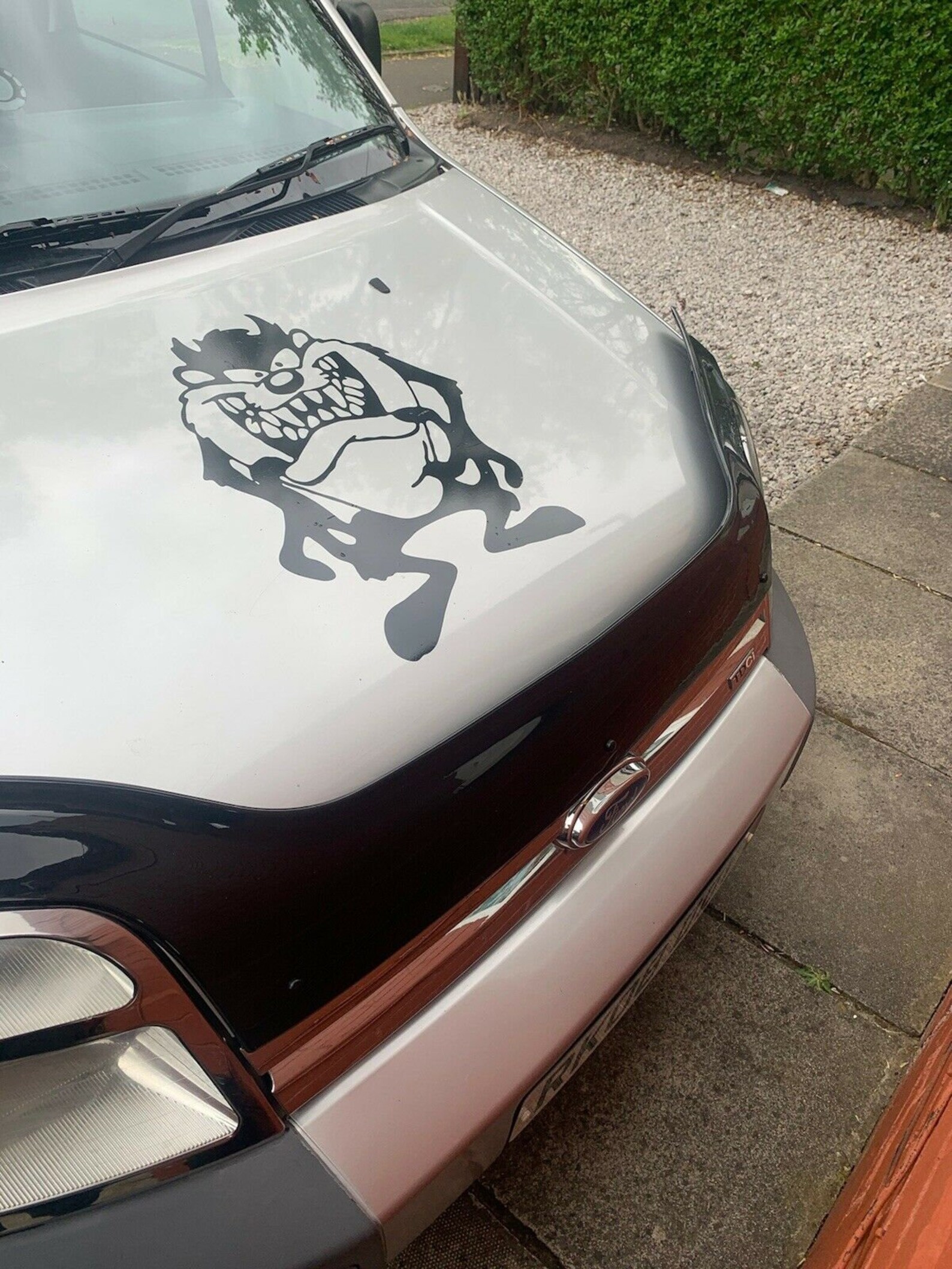 Taz Monster Car Bonnet Side Sticker Decal Wall Art Decal Vinyl Graphic ...