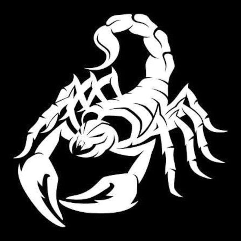 Scorpion Car Decal - Etsy