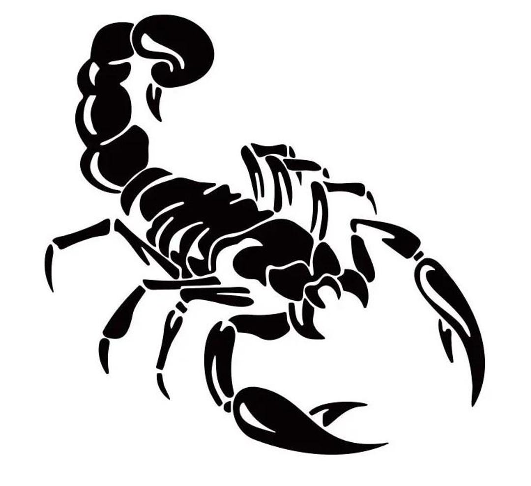 Scorpion Decal Scorpion Decor Vinyl Car Bonnet Side Sticker Wall Art ...