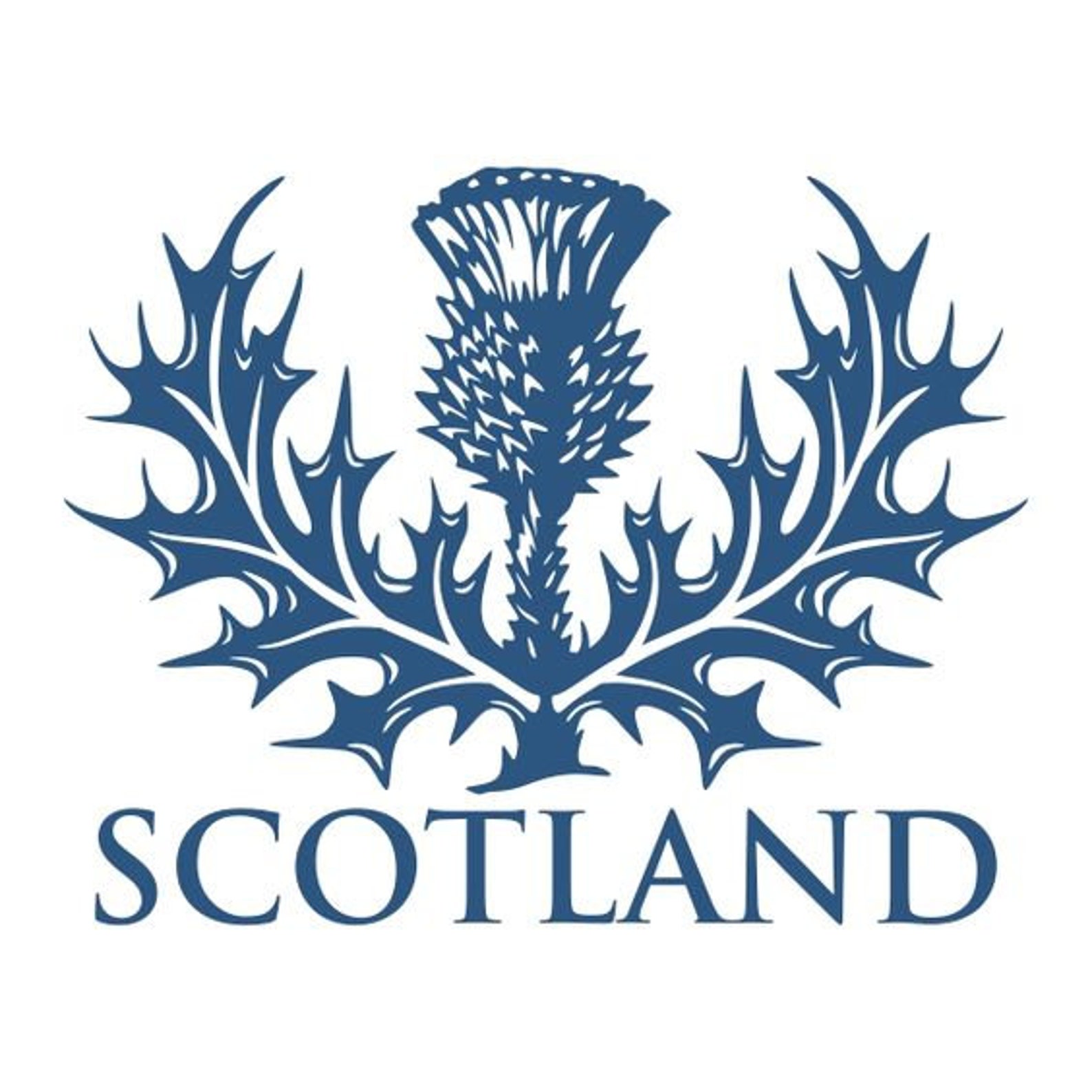 Scotland Thistle Decal Car Sticker Vinyl Wall Art Bonnet Side Sticker ...