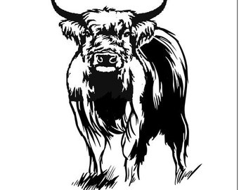 Scottish Highlands Highland Cow Bull Wall Art Decal Car Van Bonnet ...