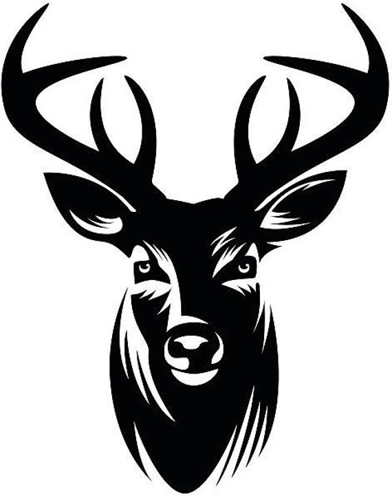 Decalcomania Della Testa Di Cervo