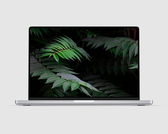Green Plan Macbook Wallpaper Desktop Background Macbook | Etsy