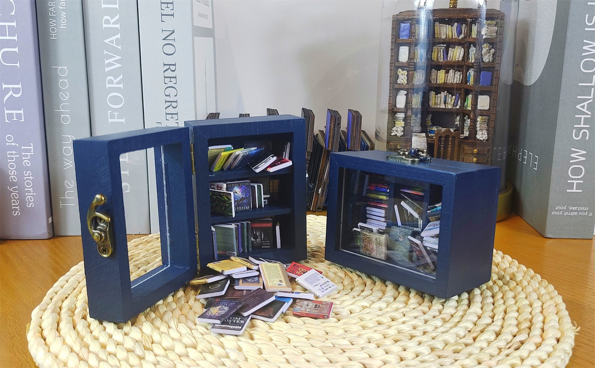 Custom Pocket Edition Anxiety Bookcase, Personalised MINI Bookcase, Miniature Bookcase, Book ...