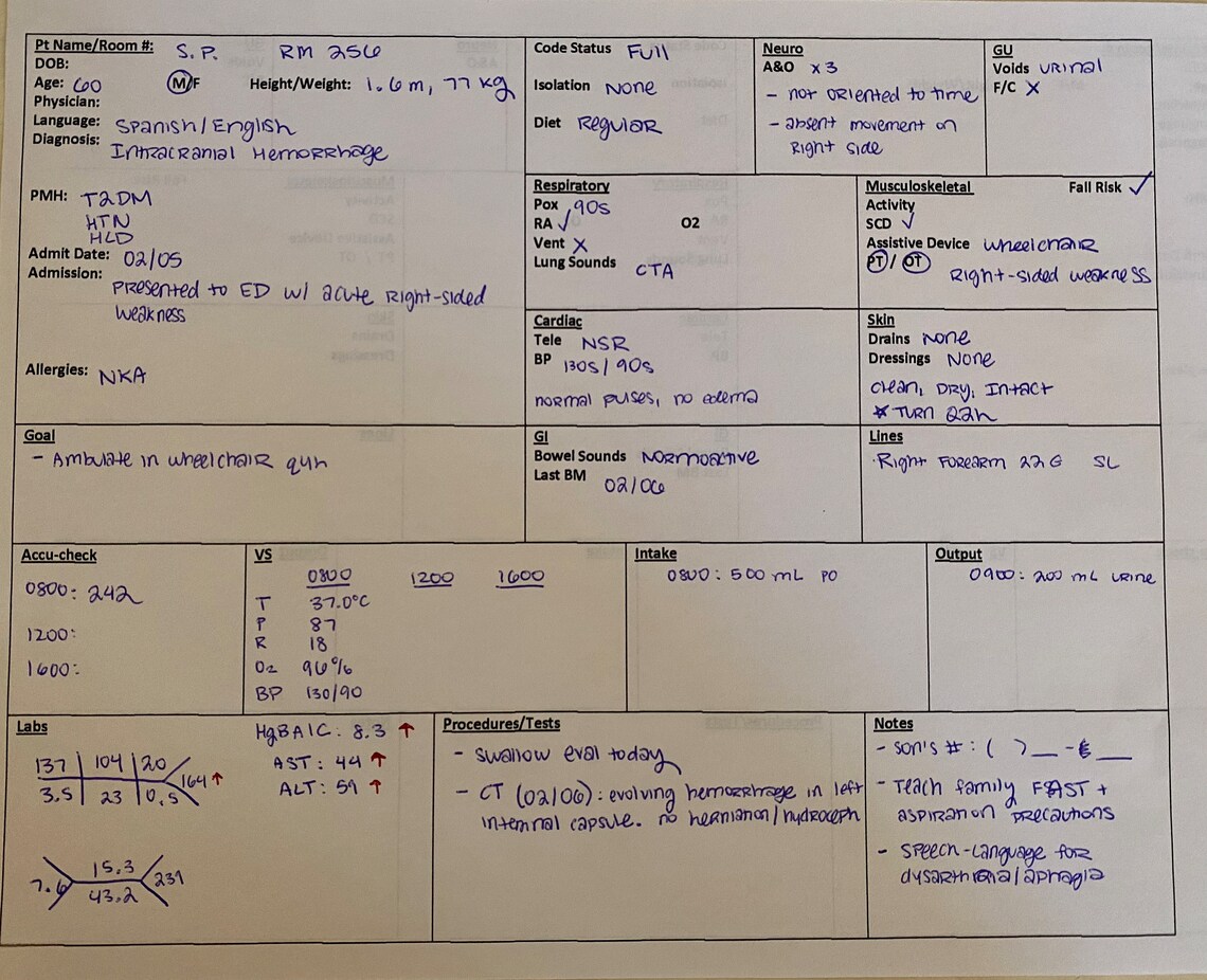 Nurse Report Sheet: RN Handoff Tool, Medication Log (PDF Template) - Etsy